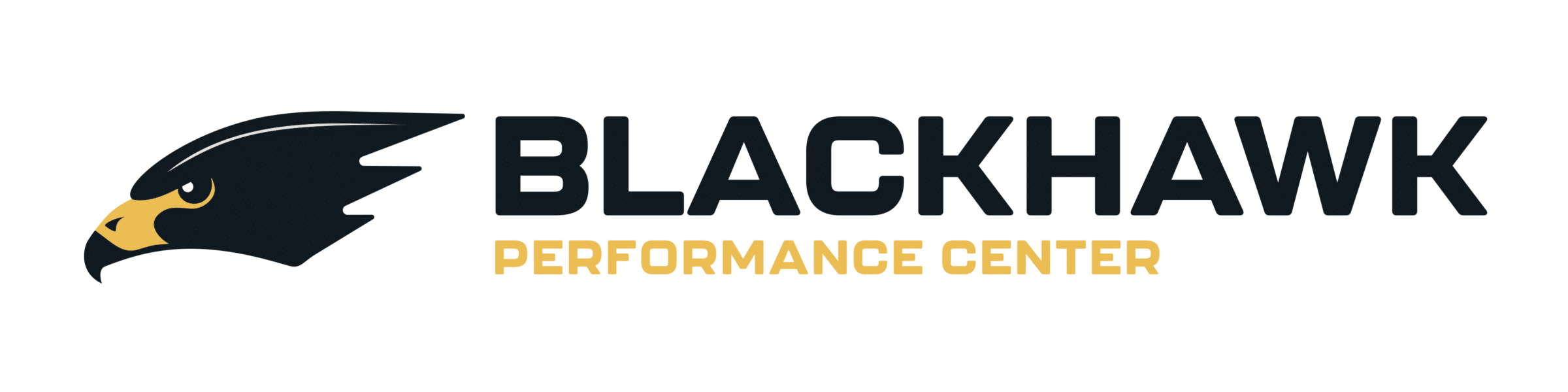 Blackhawk Performance Center - Blackhawk Aerospace